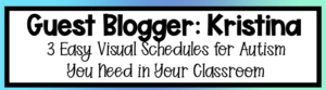 3 Easy Visual Schedules for Autism You Need in Your Classroom - Full ...