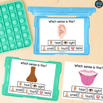 Science The Five Senses Activity Task Cards Human Body Centers Special ...