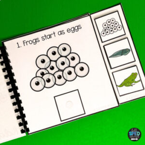 Life Cycle of a Frog Science Adaptive Book and Worksheet for Special ...