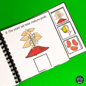 Life Cycle of a Plant Science Adaptive Book and Worksheet for Special ...