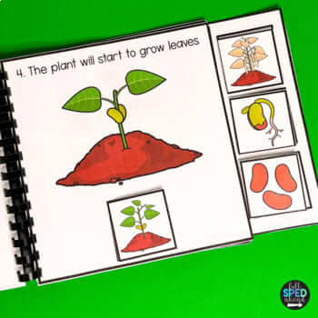 Life Cycle of a Plant Science Adaptive Book and Worksheet for Special ...