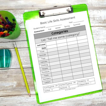 Mini End of Year Assessment Progress Monitoring Tracking Sheet Special ...